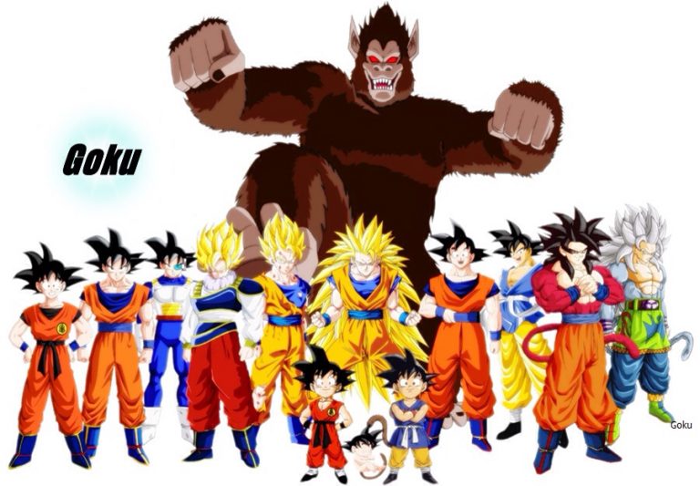Goku y todas sus fases