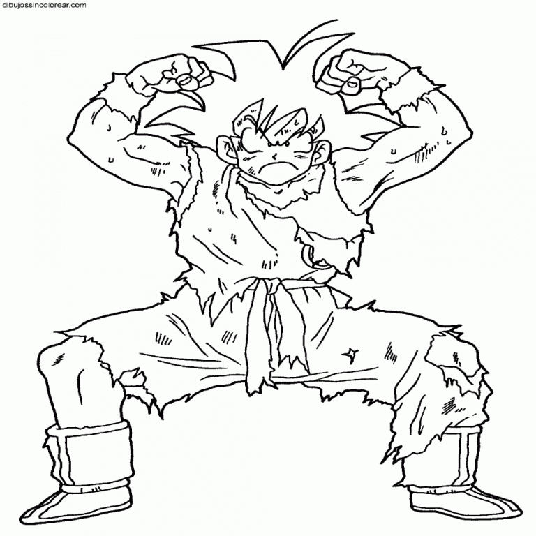 Goku sin color